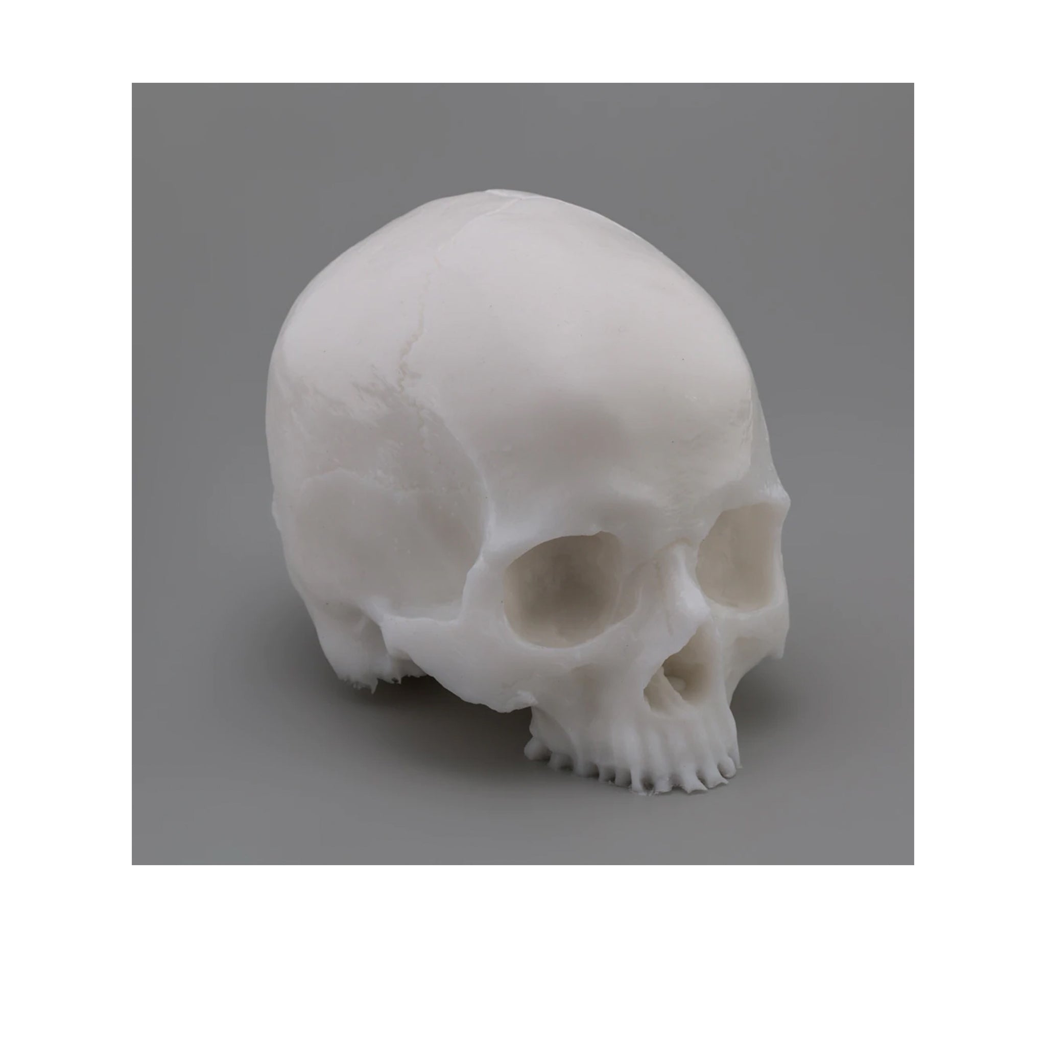 APOF "Yorick" Skull - Bicknee Tattoo Supply